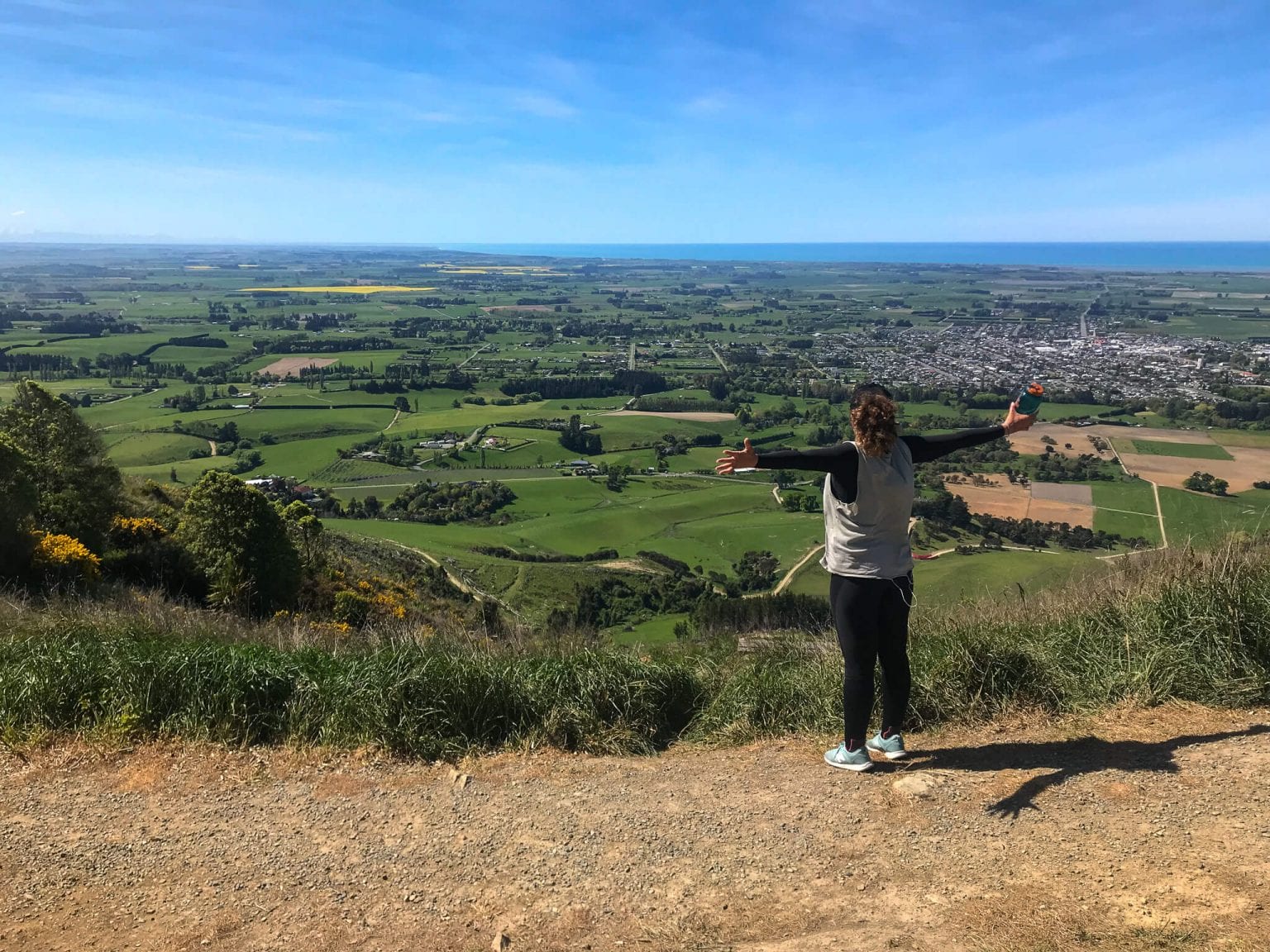 20+ Unique things to do in Timaru, Canterbury! - Befreewithlee